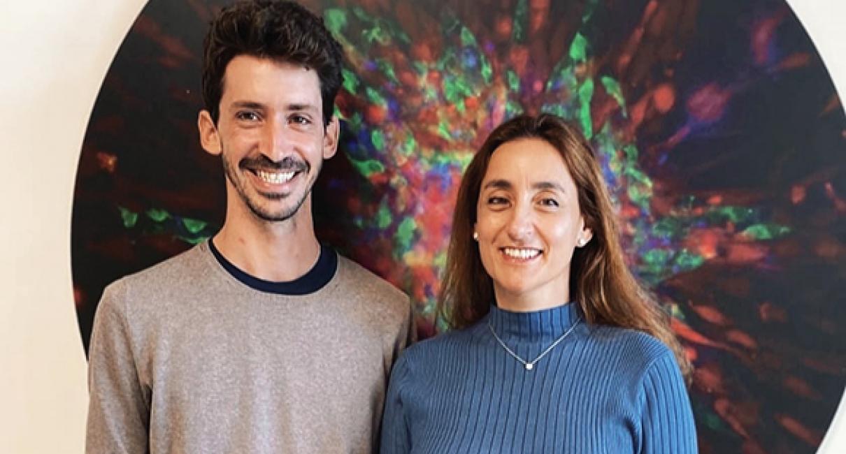 Breakthrough in the Battle Against Brain Cancer | Cancer Biology ...